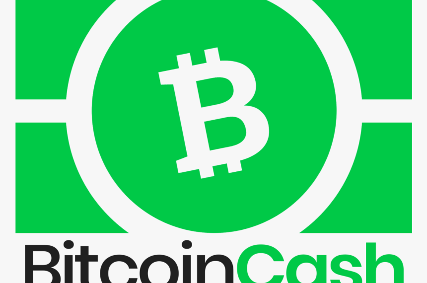 Bitcoin Cash Price Volatility During Second Halving Event